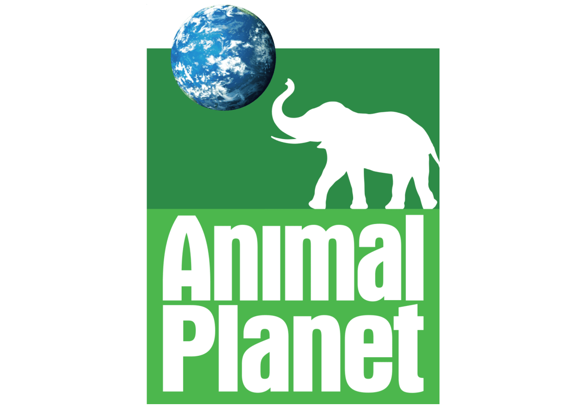 Animal Planet – My Cat From Hell – Steven Warren – Video Producer | Editor